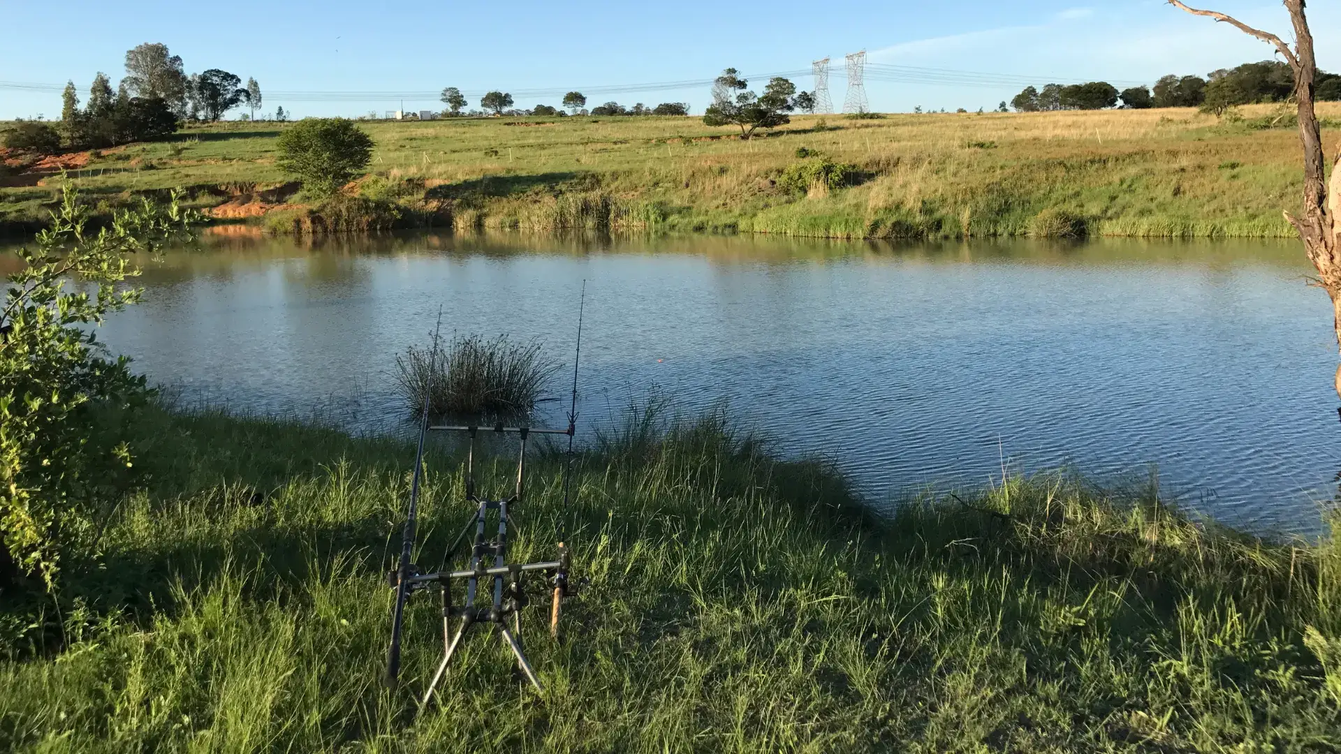 Fishing - Camping And Fishing
